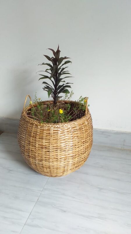 Cane Planter With Handle, EC 067 - ETHICA ONLINE