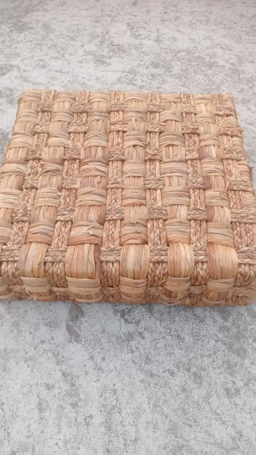 Water Hyacinth Tray with cane frame,EWH207CF and EWH208CF - ETHICA ONLINE